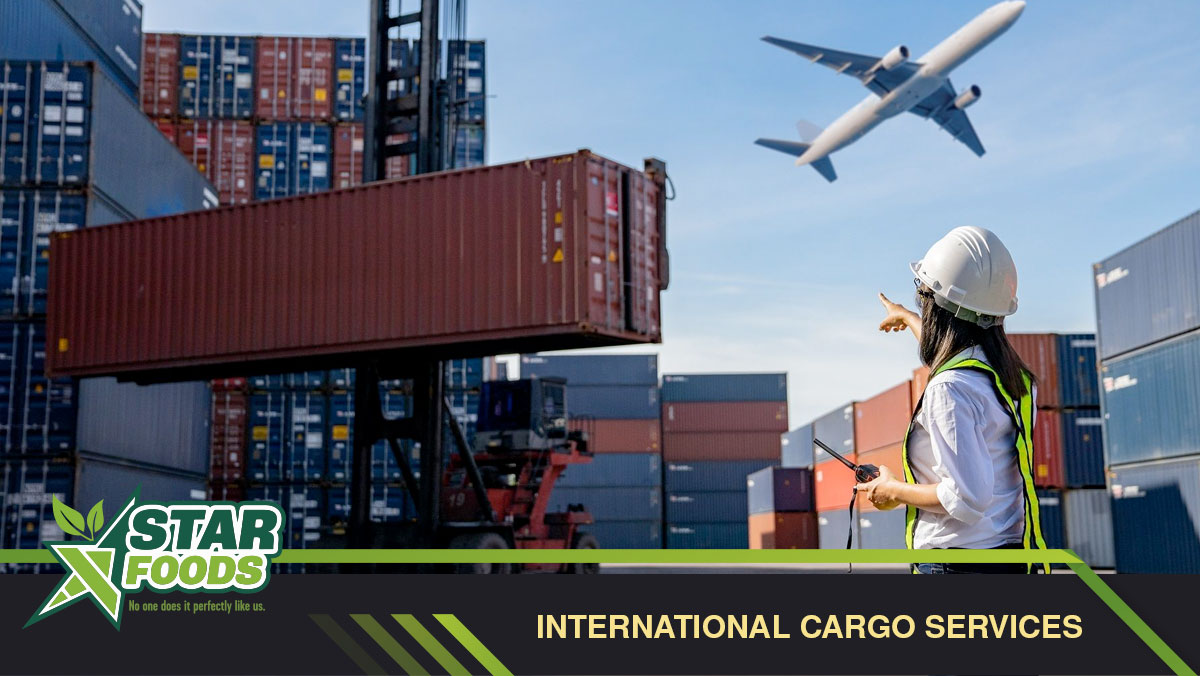 INTERNATIONAL CARGO SERVICES | Star Foods | Manufacturing and Exporting
